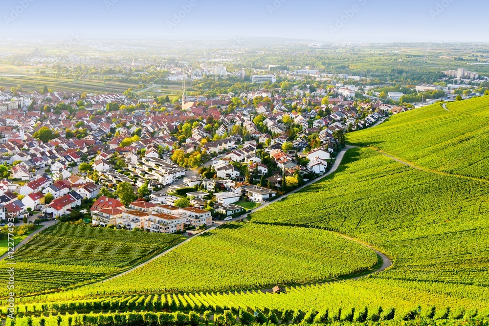 Weinstadt bei Stuttgart Weinberge Stock-Foto | Adobe Stock