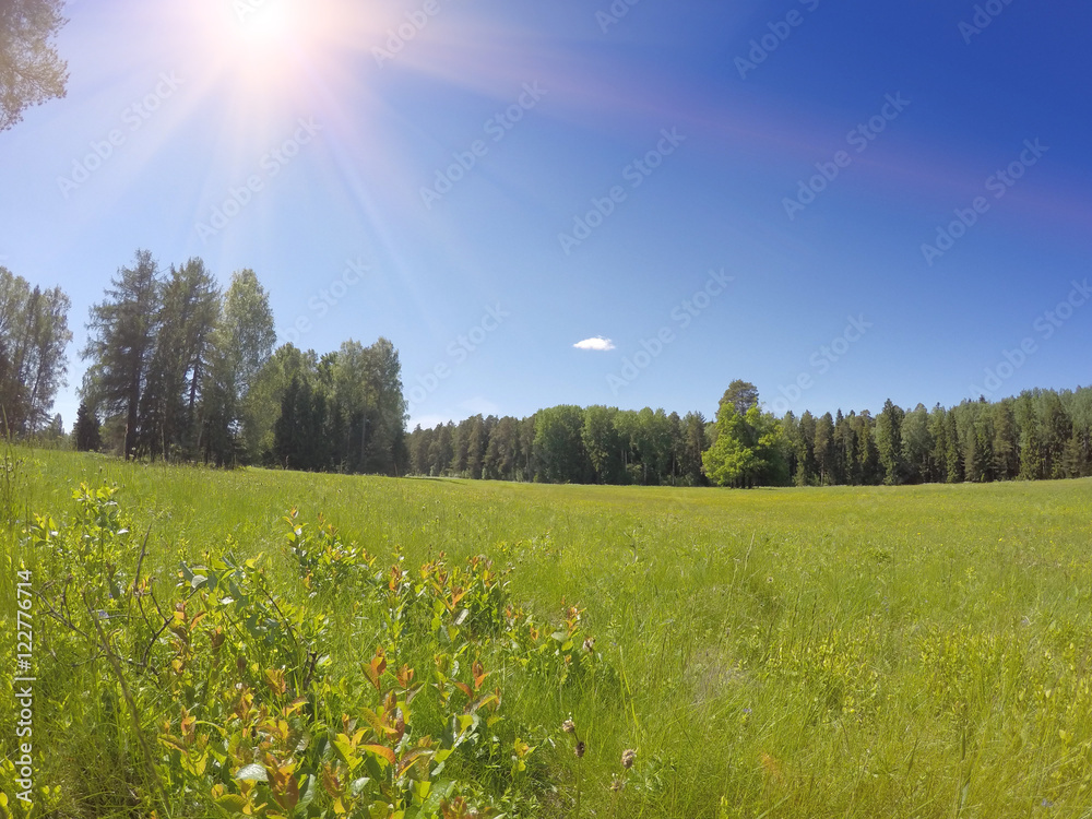 Beautiful, bright summer landscape Stock Photo | Adobe Stock