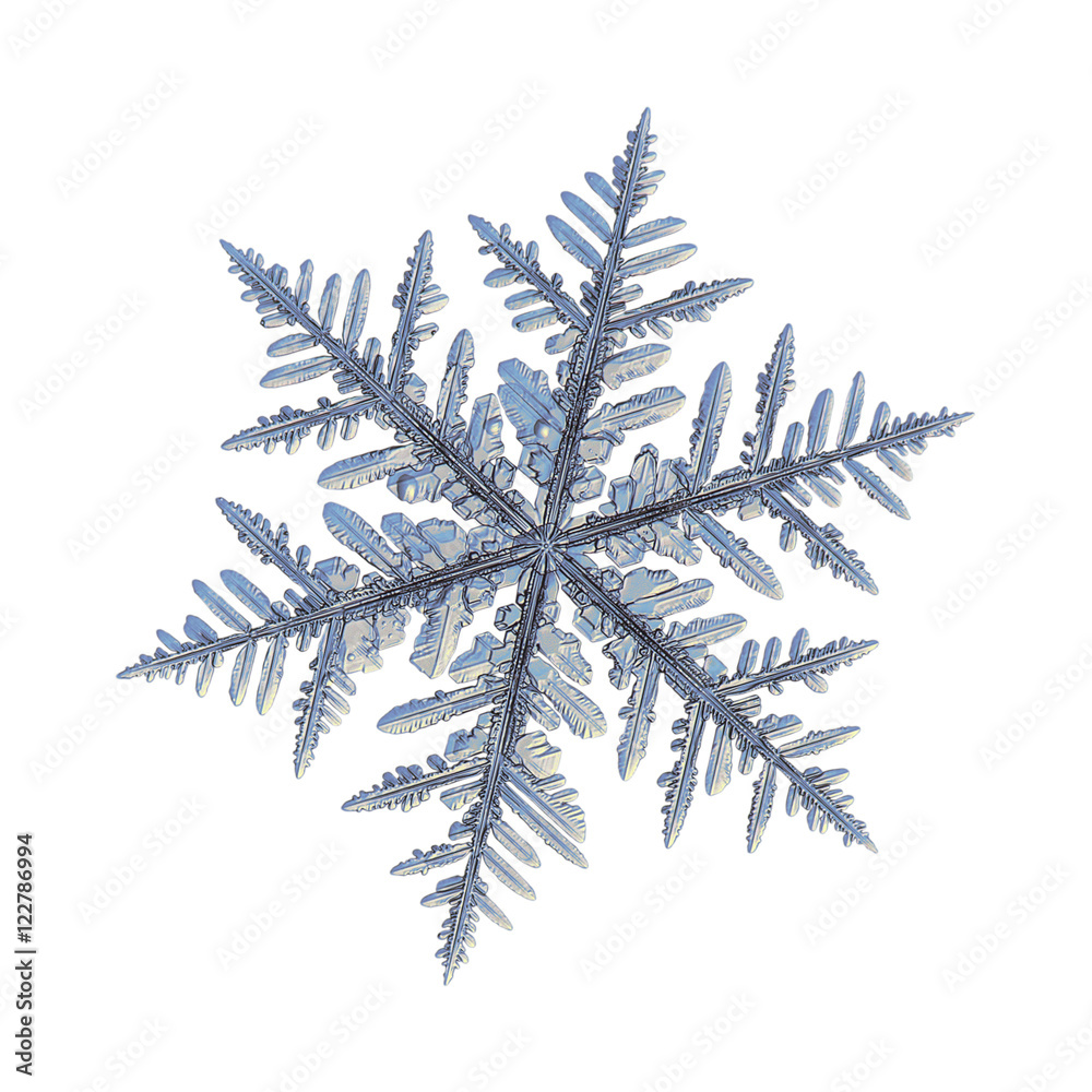 Snowflake isolated on white background: macro photo of real snow ...