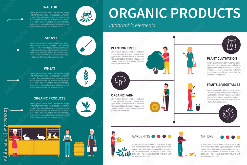Organic Products infographic flat vector illustration. Presentation ...