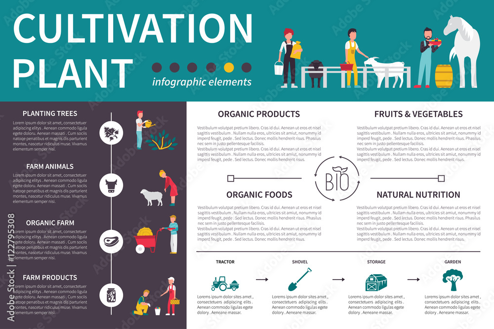 Plant Cultivation infographic flat vector illustration. Presentation ...