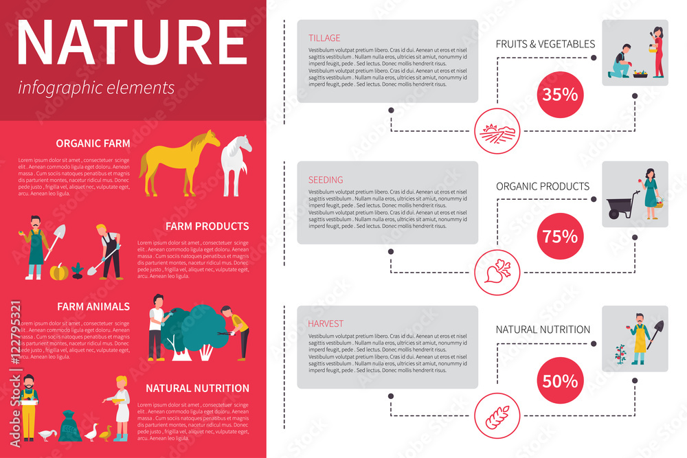Nature infographic flat vector illustration. Presentation Concept Stock ...