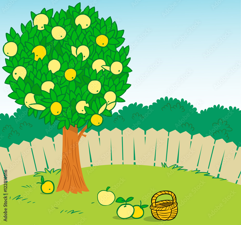 The illustration shows one apple tree in the garden behind the fence ...