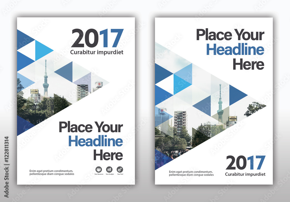 Book Cover Layout Set 39 Stock Template | Adobe Stock