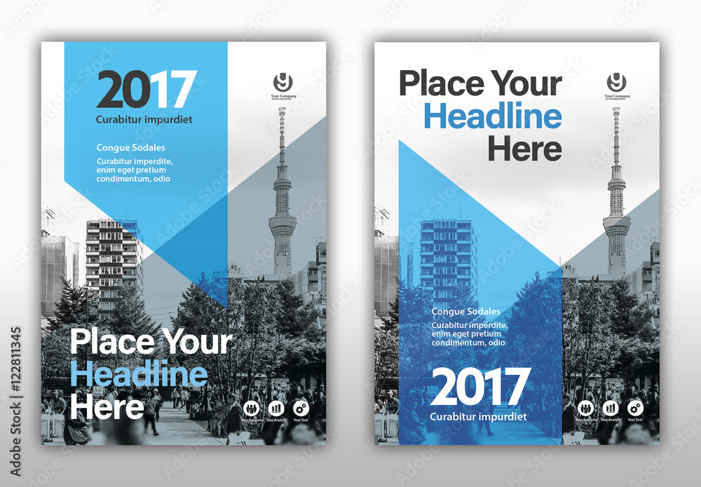 Book Cover Layout Set 44 Stock Template | Adobe Stock