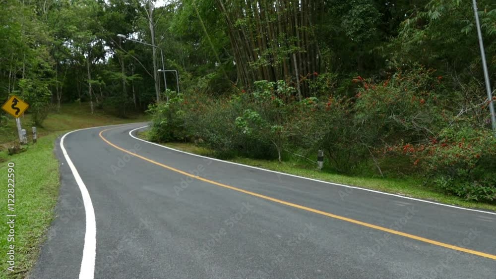 tall bamboo tree and the yellow warning sign beside the curved road ...