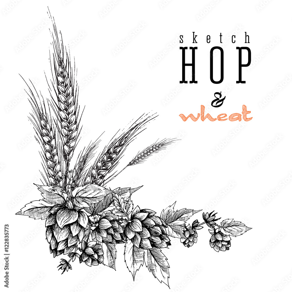 Wheat and beer hops branch with wheat ears, hops leaves and cones ...
