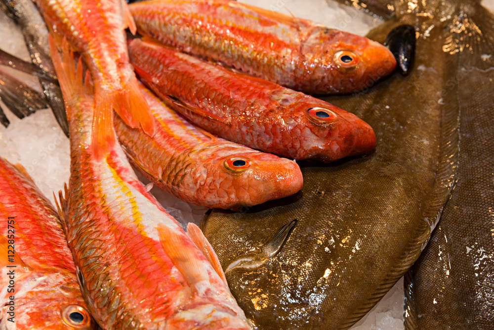 Salmonetes de roca y lenguados. Stock Photo | Adobe Stock