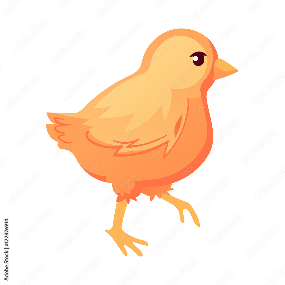 Full body of little chicken, cartoon vector illustration isolated on ...
