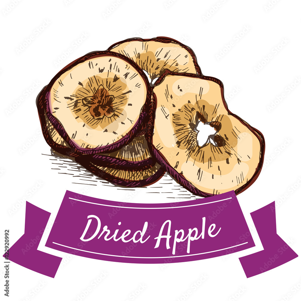 Dried apple colorful illustration. Stock 벡터 | Adobe Stock
