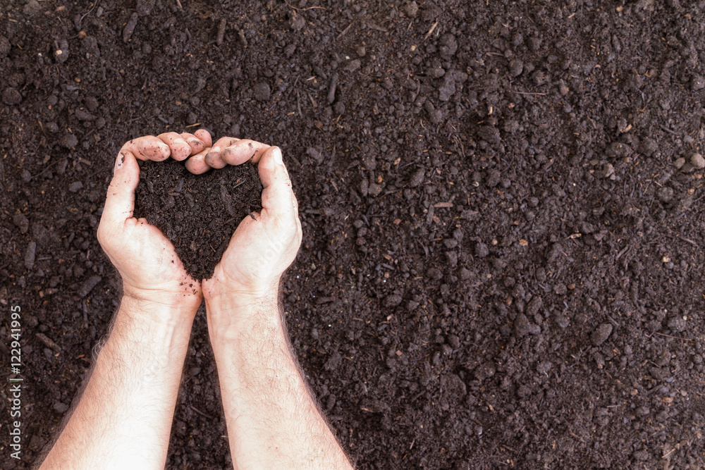 Pair of hands holding soil in heart shape Stock Photo | Adobe Stock