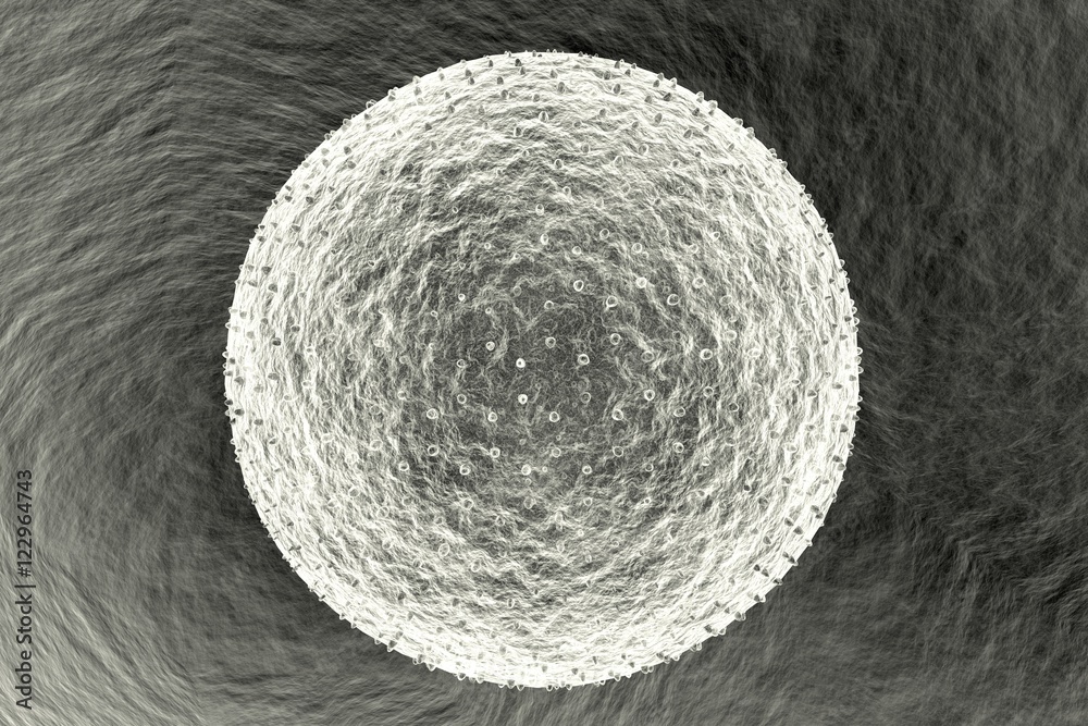 Chlamydia trachomatis microscopy magnification 3D illustration Stock ...