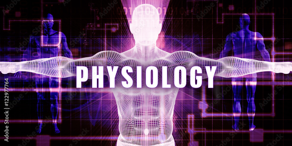 Physiology Stock Illustration | Adobe Stock