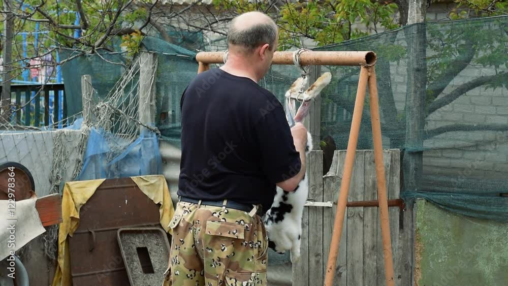 Man skinning flaying rabbit. Mature white man skinning cutting the ...