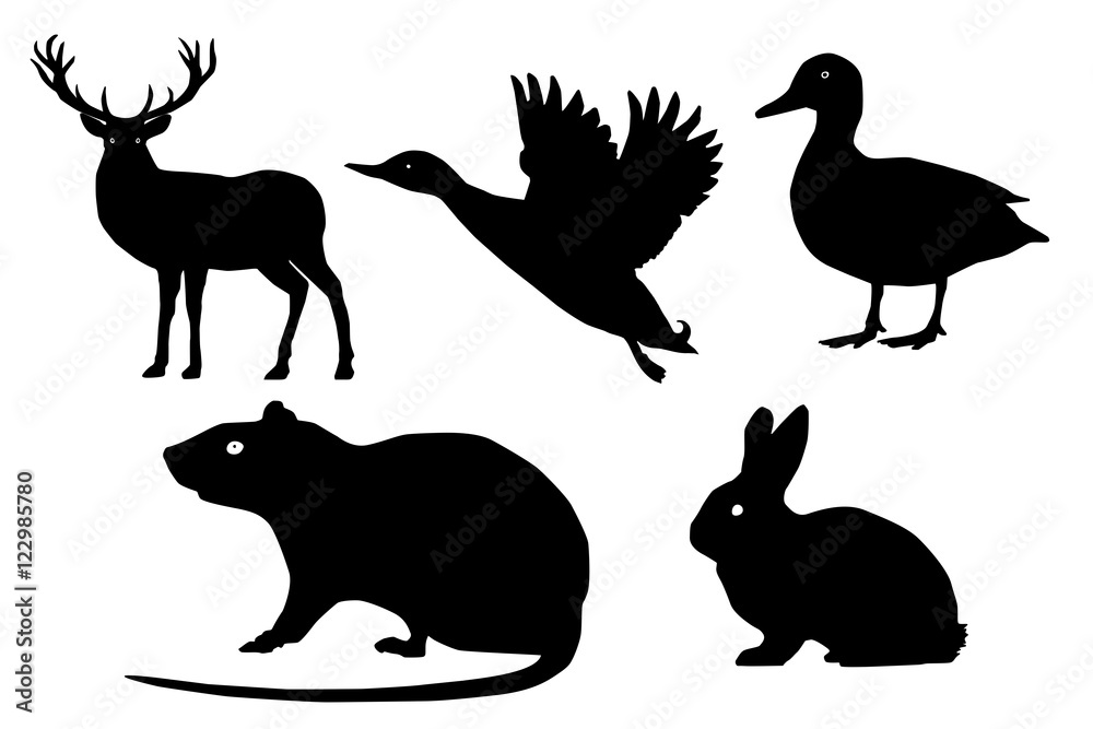 wild animals vector set. Isolated silhouette, deer, duck, mouse, rabbit ...