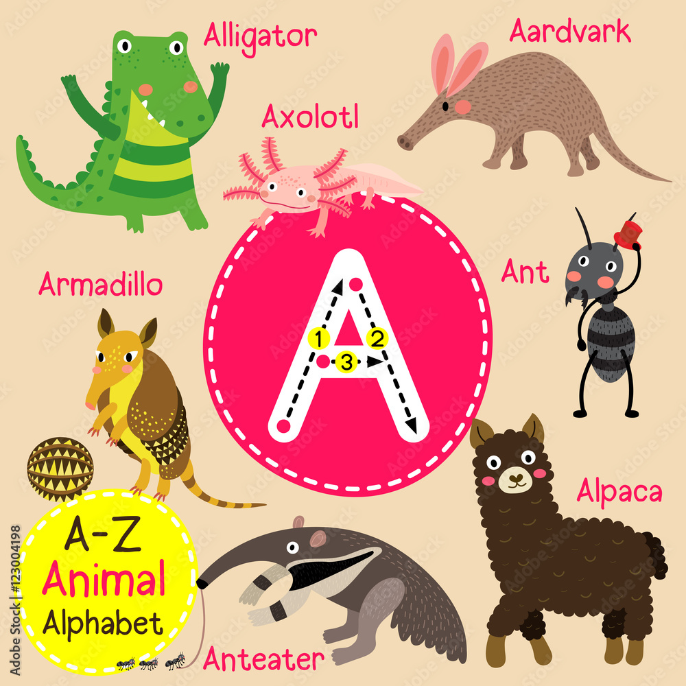 A letter tracing. Ant. Aardvark. Alligator. Alpaca. Anteater. Cute ...
