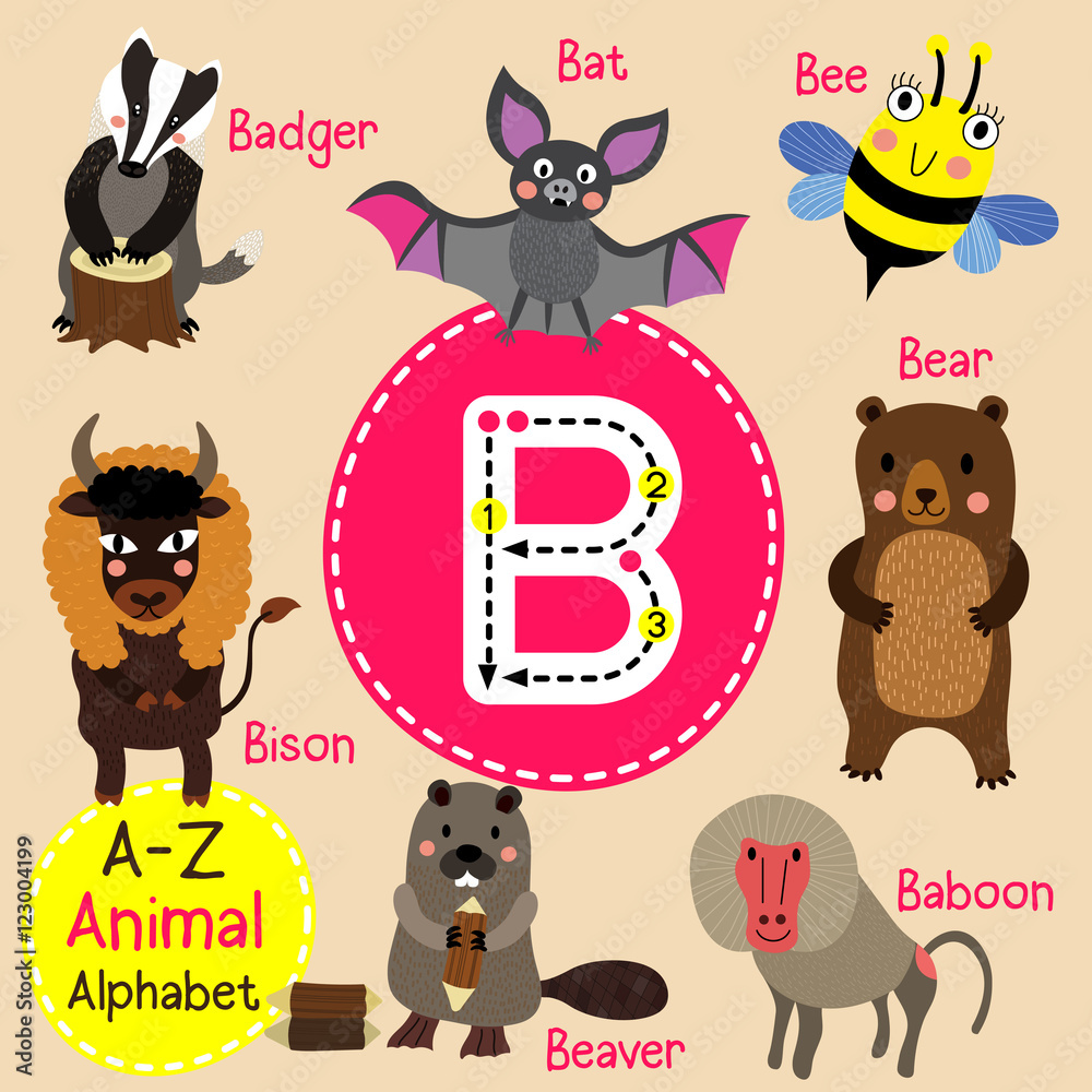 B letter tracing. Baboon. Badger. Bat. Bear. Bee. Beaver. Bison. Cute ...