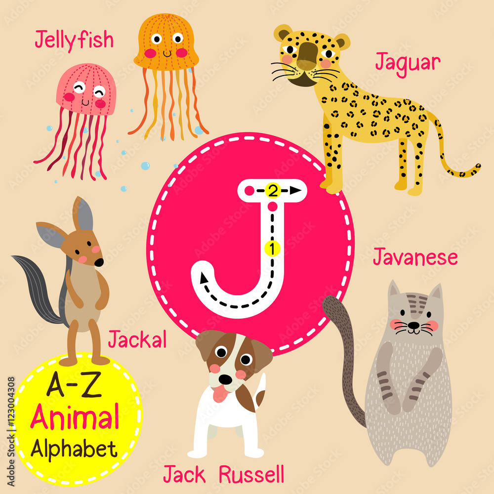 J letter tracing. Jaguar. Jellyfish. Jack Russell. Jackal. Javanese. Cute children zoo alphabet ...