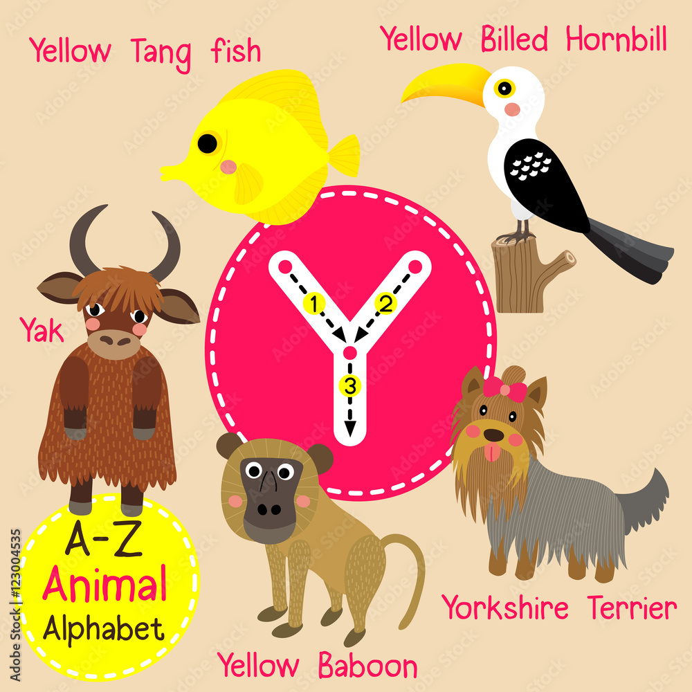 Y letter tracing. Yak. Yorkshire Terrier. Yellow Baboon. Tang Fish ...