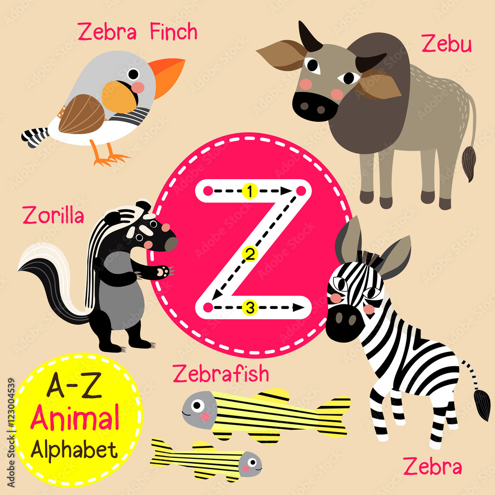 Z letter tracing. Zebra. Zebu. Zorilla. Zebrafish. Zebra Finch. Cute ...