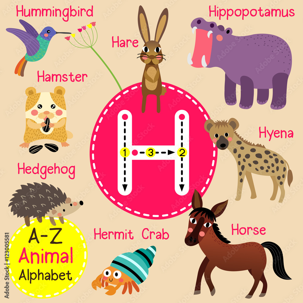 H letter tracing. Hare. Hedgehog. Hermit Crab. Hippopotamus. Horse ...