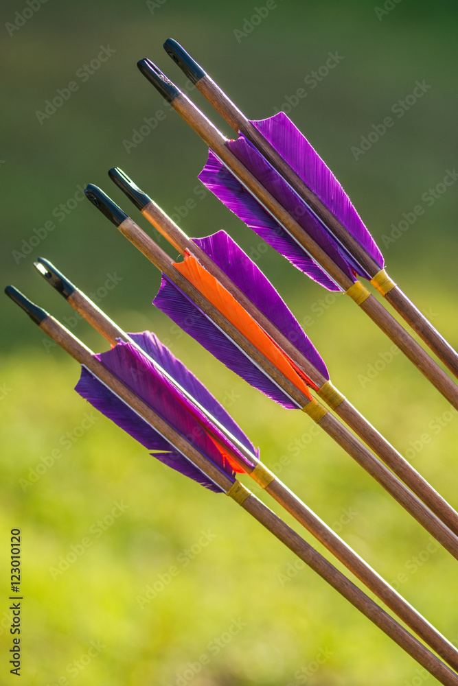 Archer arrows on forest background Stock-Foto | Adobe Stock