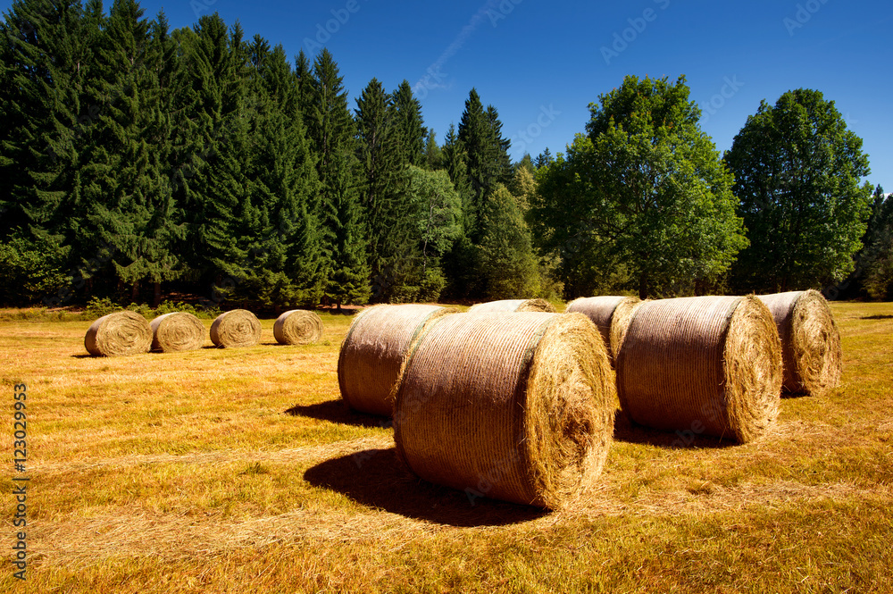 Fienagione di montagna sulle dolomiti Stock-Foto | Adobe Stock