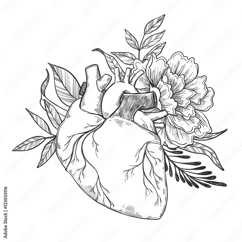 Hand drawn vector illustrations - Human heart with flowers and l Stock ...