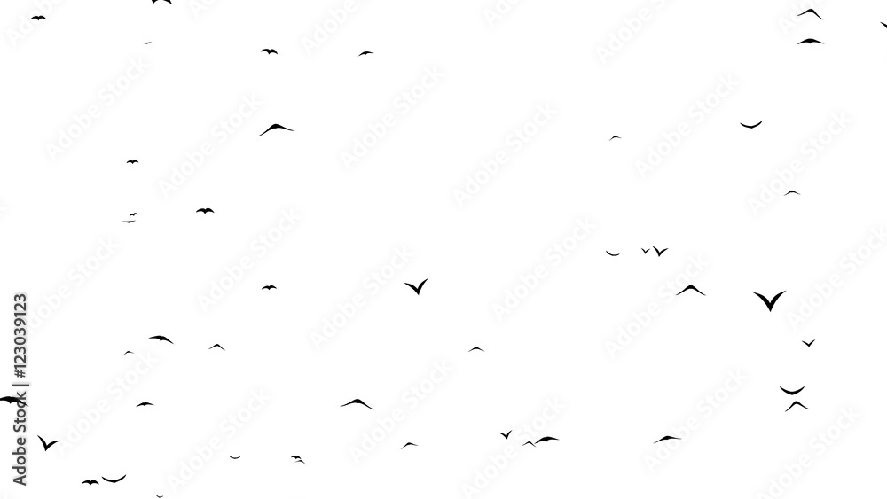 A flock of flying birds forms RIP - part of timelapse, stop motion, gif ...