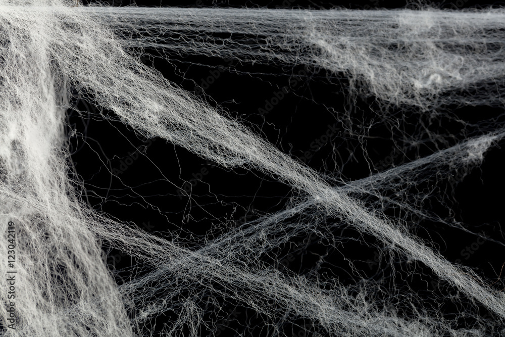 Creepy cobweb overlay Stock Photo | Adobe Stock