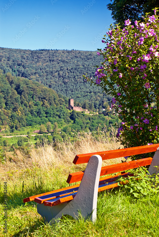 Bank mit Aussicht auf Burg bei Neckarsteinach am Neckar Stock-Foto ...