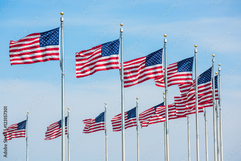 Curved row of many American Flags in Washington D.C. by monument ...