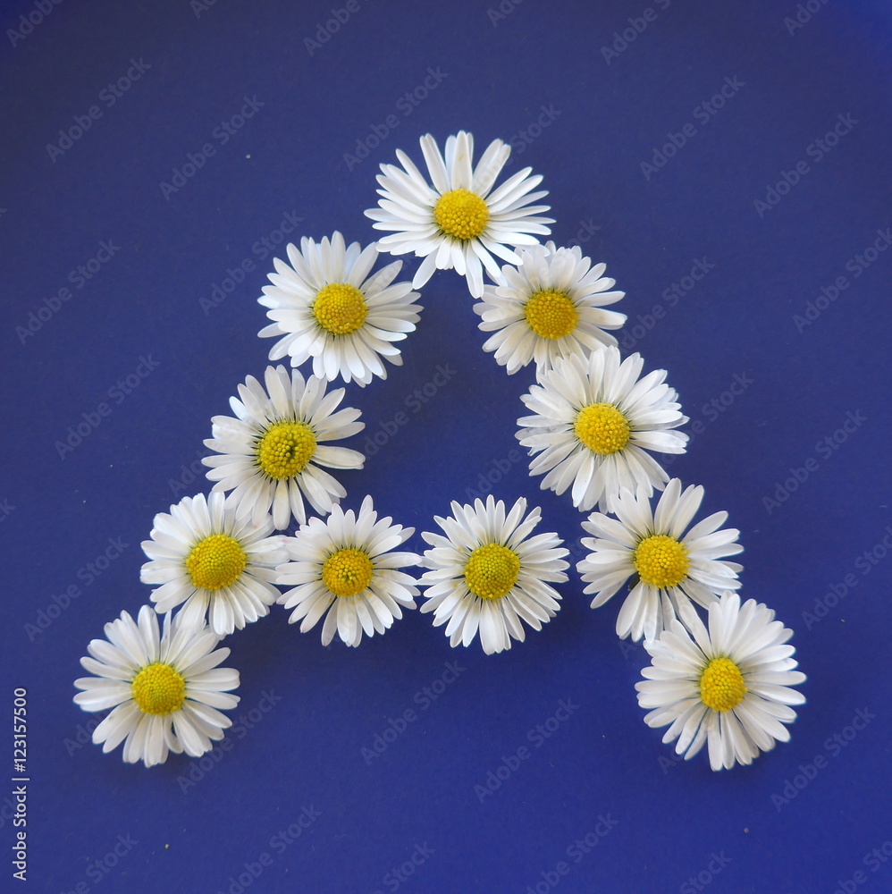Letter A, Flower alphabet on blue background Stock Photo | Adobe Stock