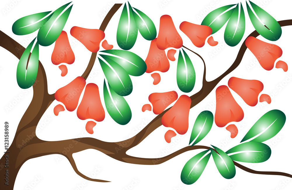 Guava tree with leaf vector cartoon illustration on white background ...