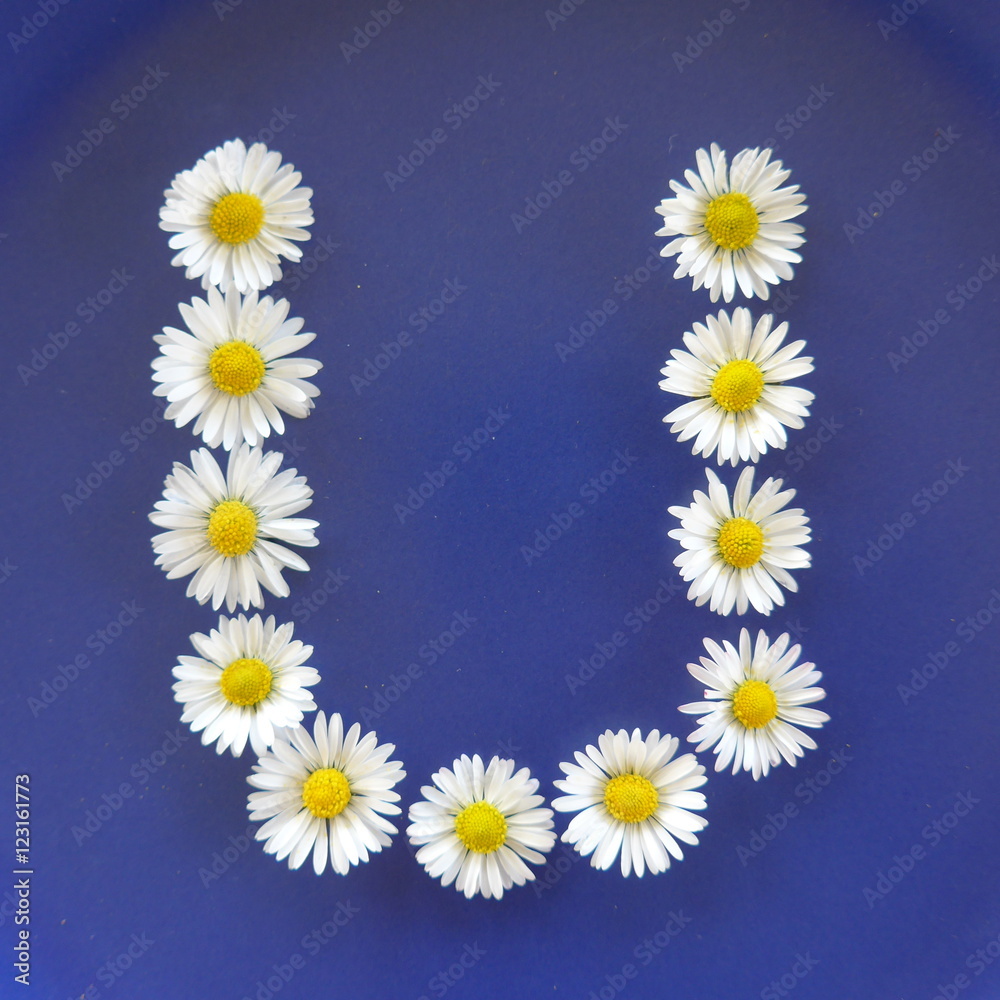 Letter U, Flower alphabet on blue background Stock Photo | Adobe Stock