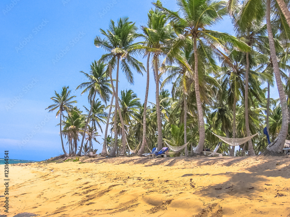 Foto de Playa Rincon is located about 25 kilometers from the Port of ...
