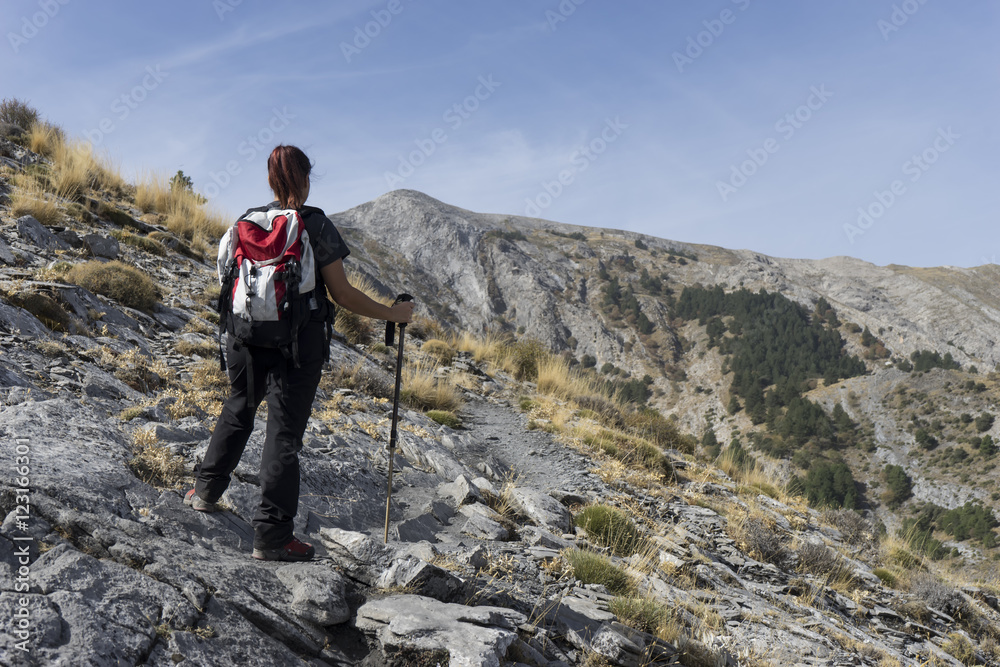 chica senderista que admira los paisajes naturales Stock Photo | Adobe ...