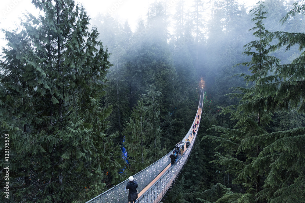 Capilano suspension bridge Vancouver, British Columbia Canada ...