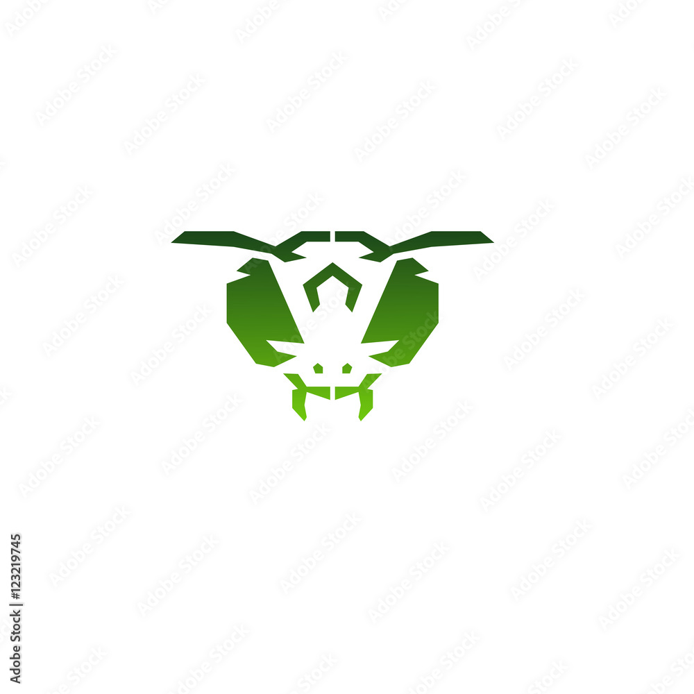 Mantis Vector Stock Vector | Adobe Stock