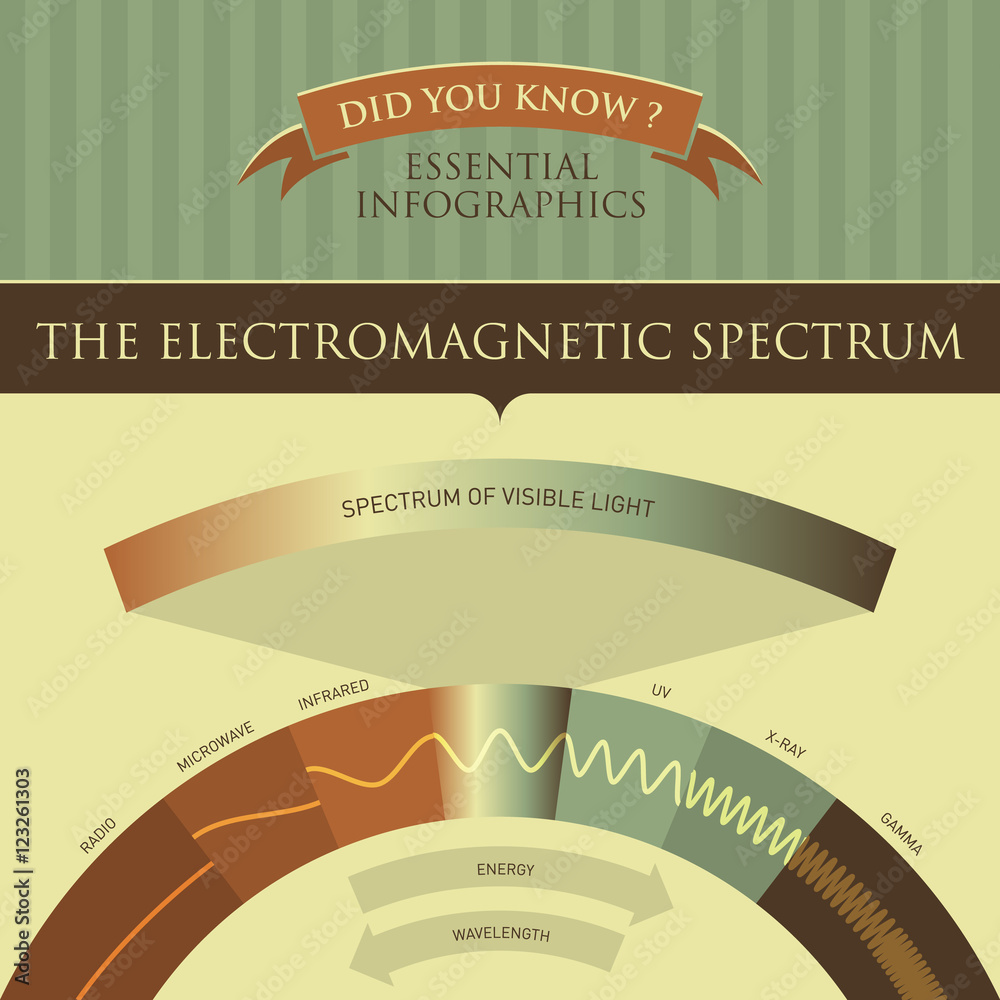 Vector Infographic - The Electromagnetic Spectrum Stock Vector | Adobe ...