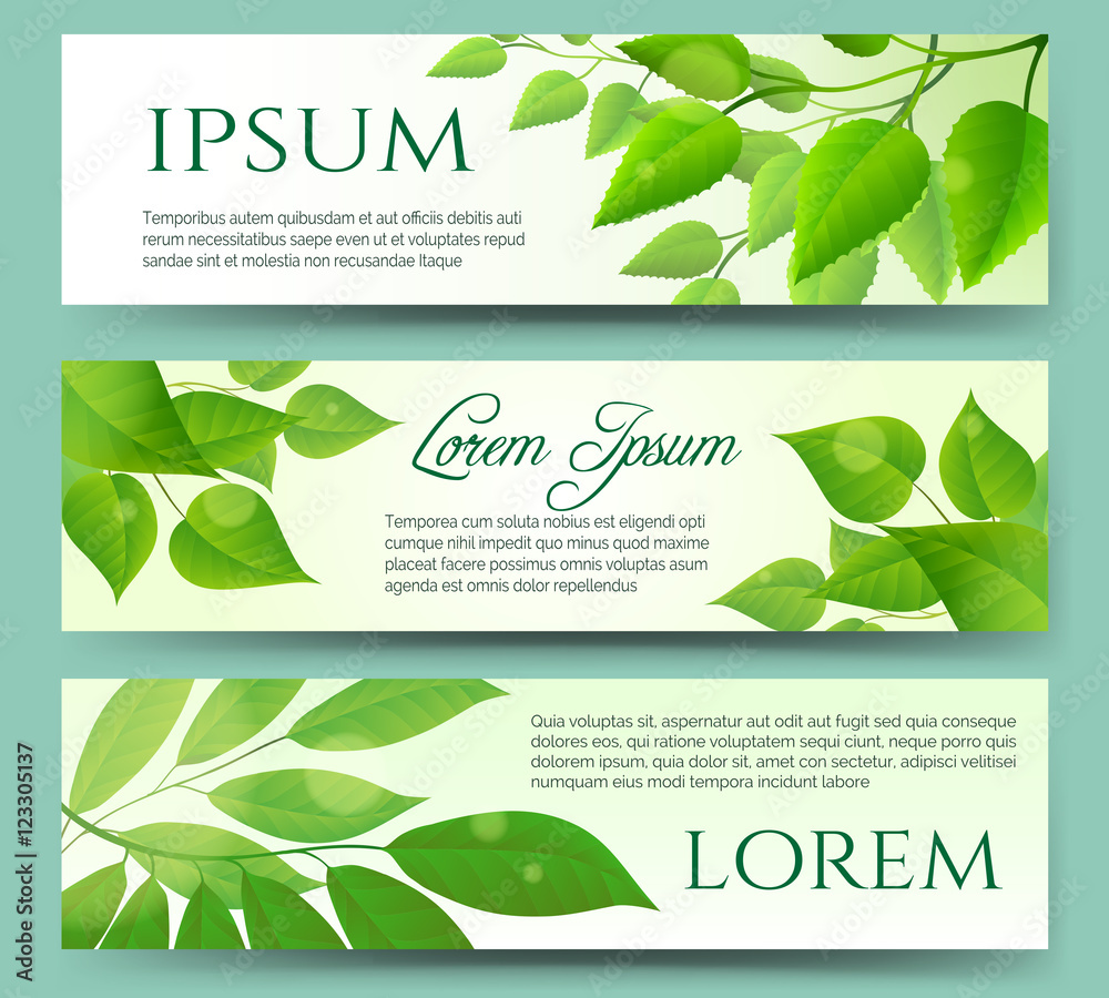 Green leaves banners with white background. Green leaf nature eco ...