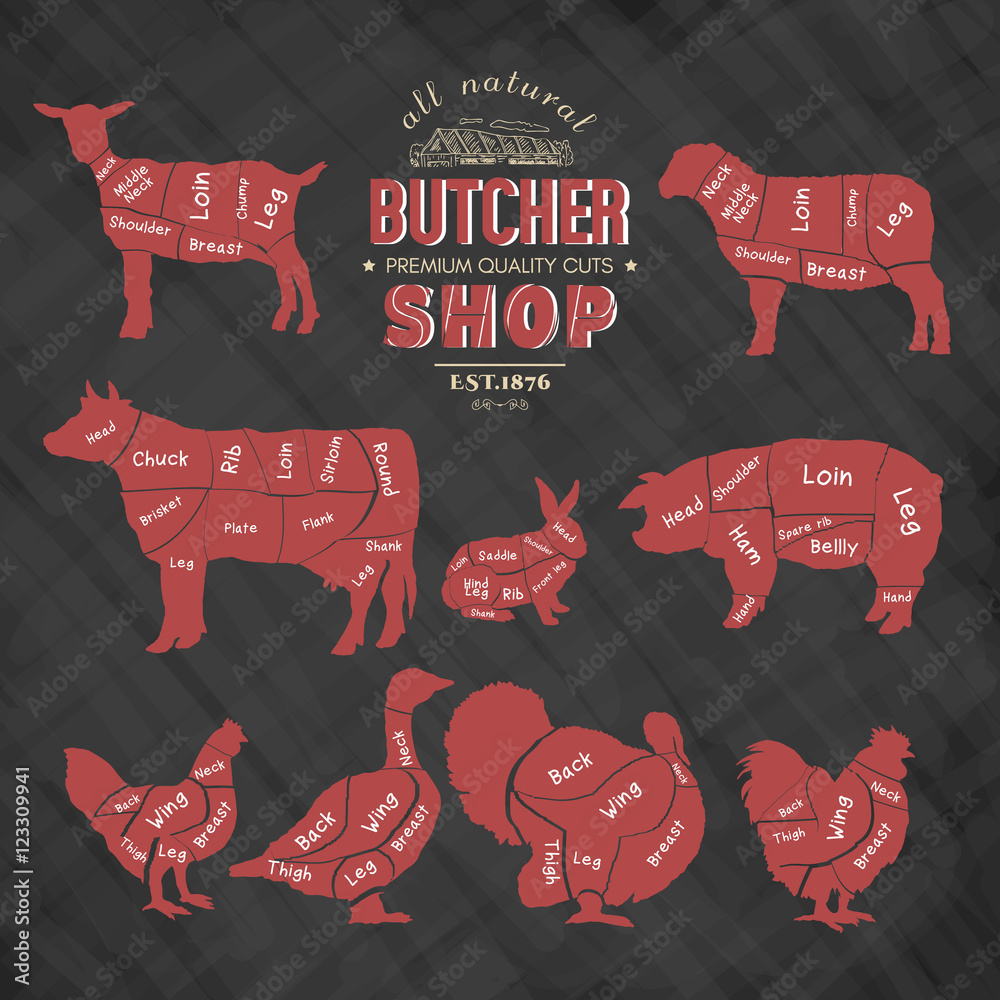 Diagrams for butcher shop. Farm animals silhouette. Stock Vector ...