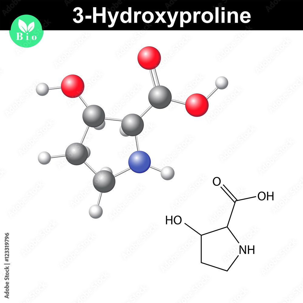 Hydroxyproline non essential heterocyclic amino acid Stock Vector ...