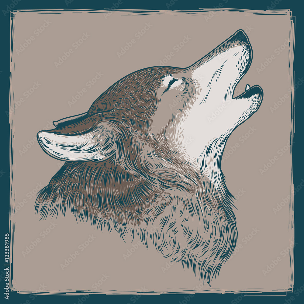 Vector illustration of a howling wolf Stock Vector | Adobe Stock