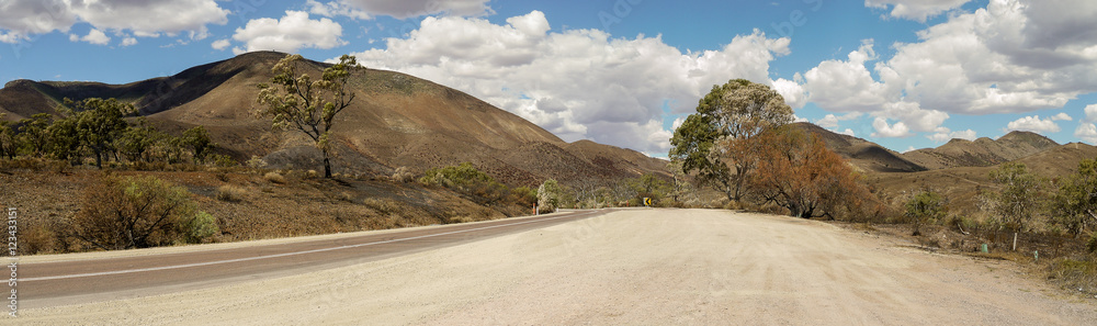 Road throught the outback after a bushfire - Flinders Ranges in ...