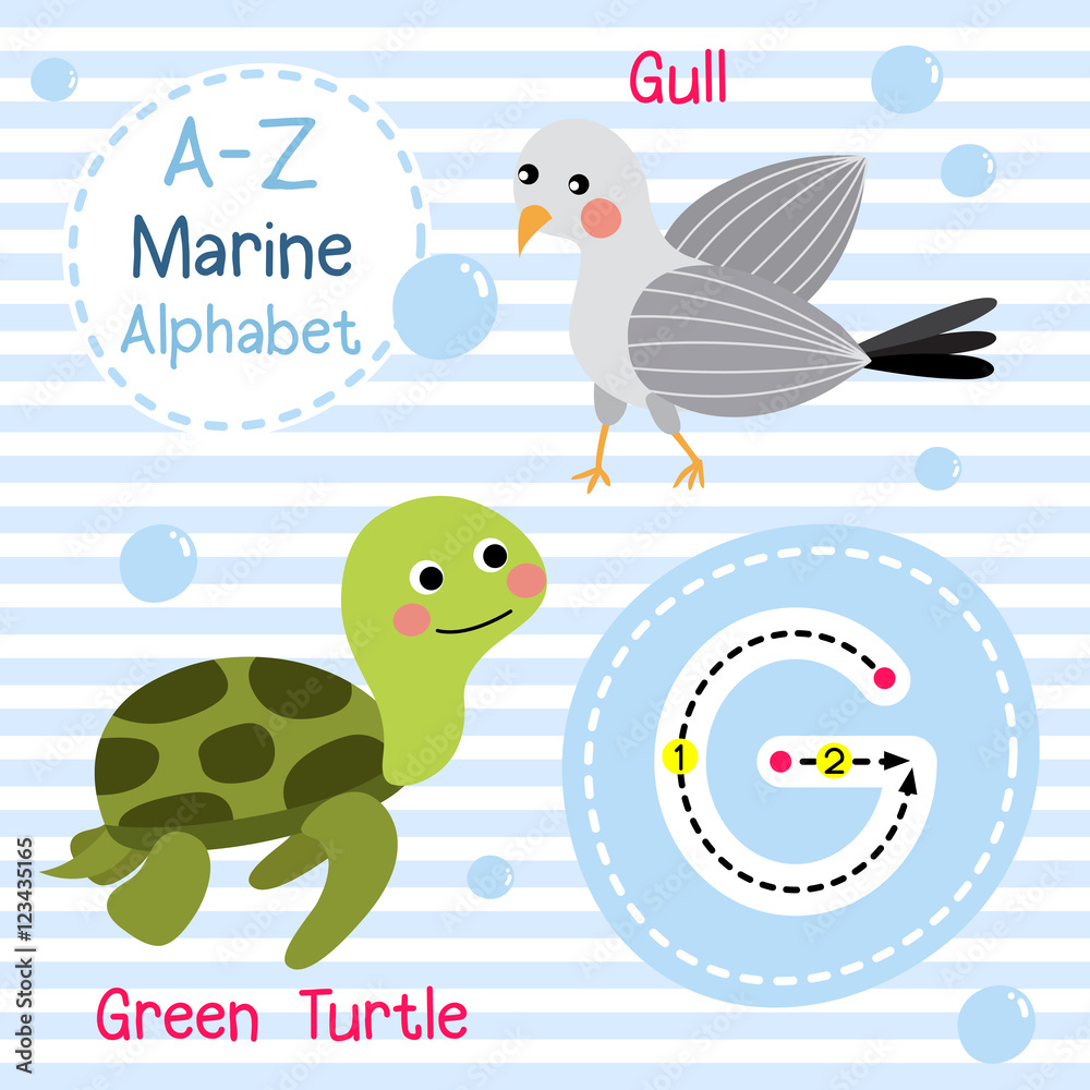 G letter tracing. Green Turtle. Gull. Cute children sea marine alphabet ...