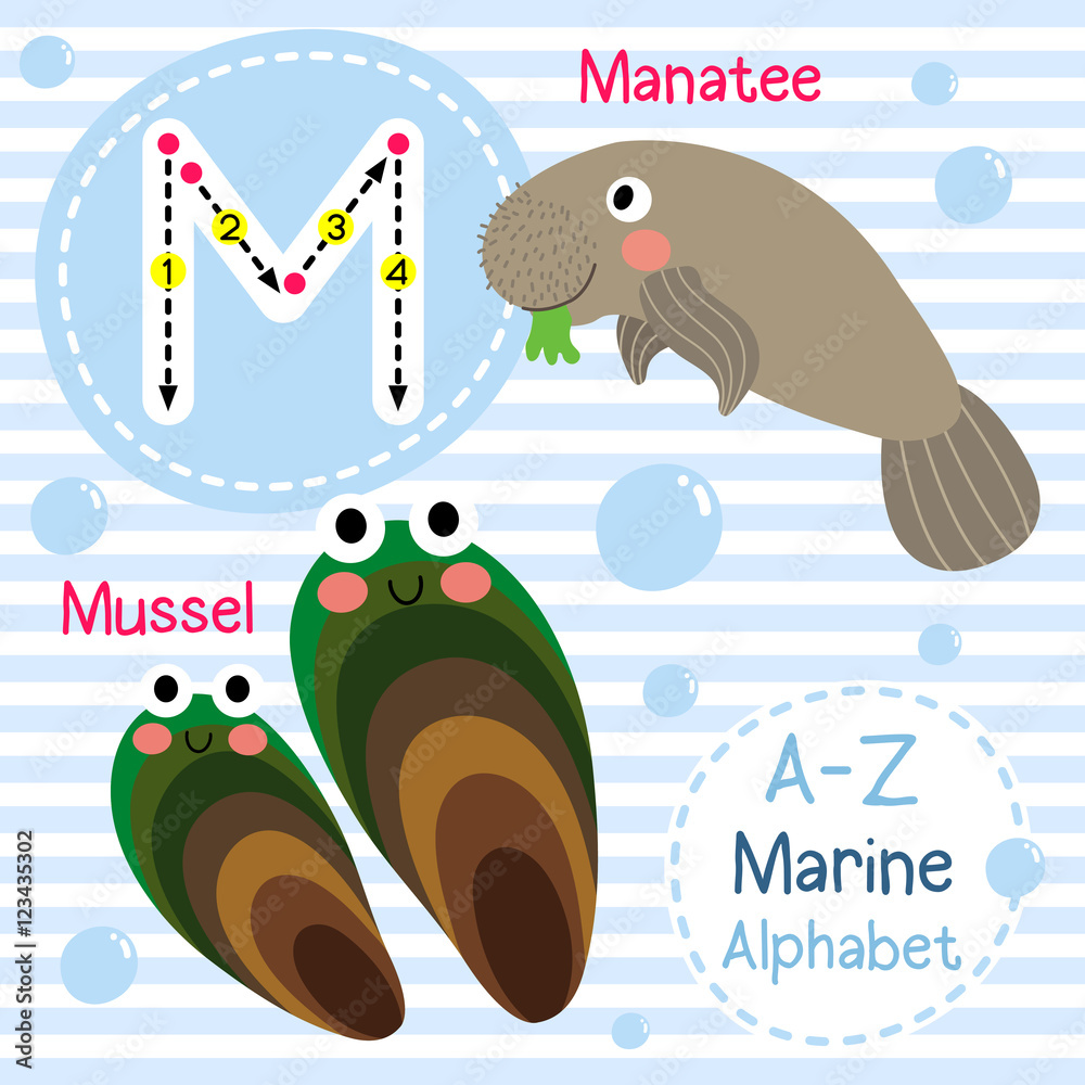 M letter tracing. Mussel. Manatee. Cute children sea marine alphabet ...