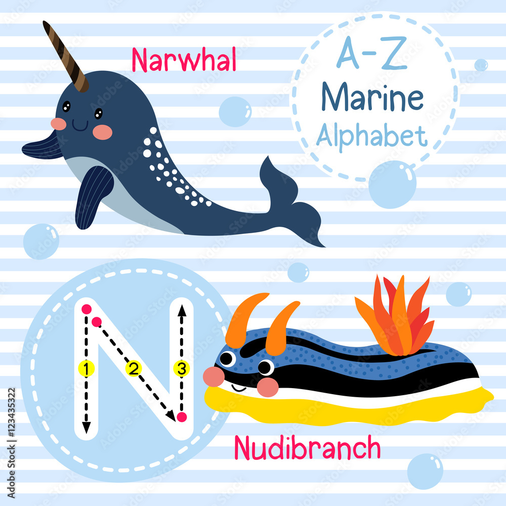 N letter tracing. Narwhal. Nudibranch. Cute children sea marine ...