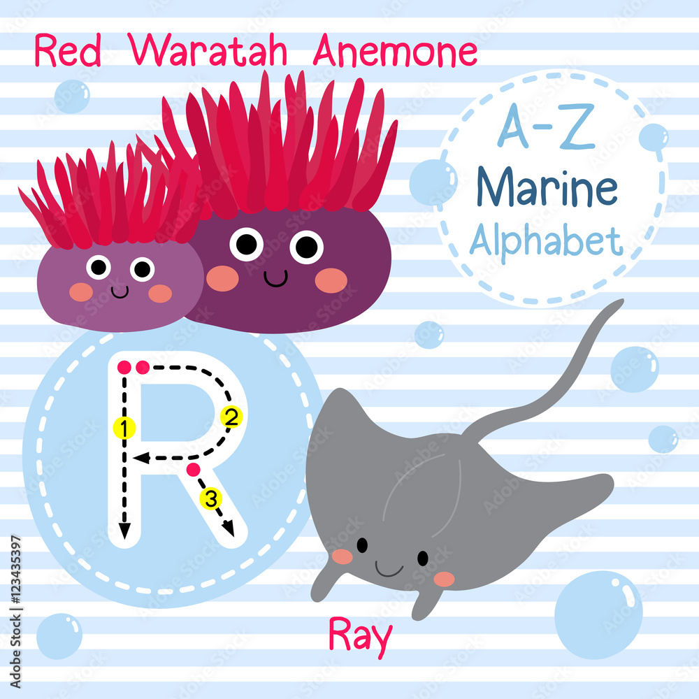 R letter tracing. Red Waratah Anemone. Ray. Cute children sea marine ...