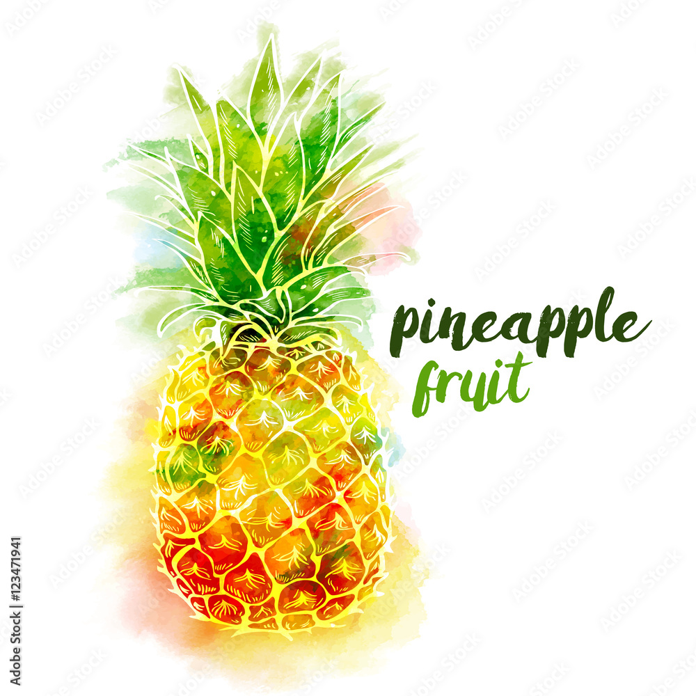 Bright color pineapple fruit and lettering on white background with ...